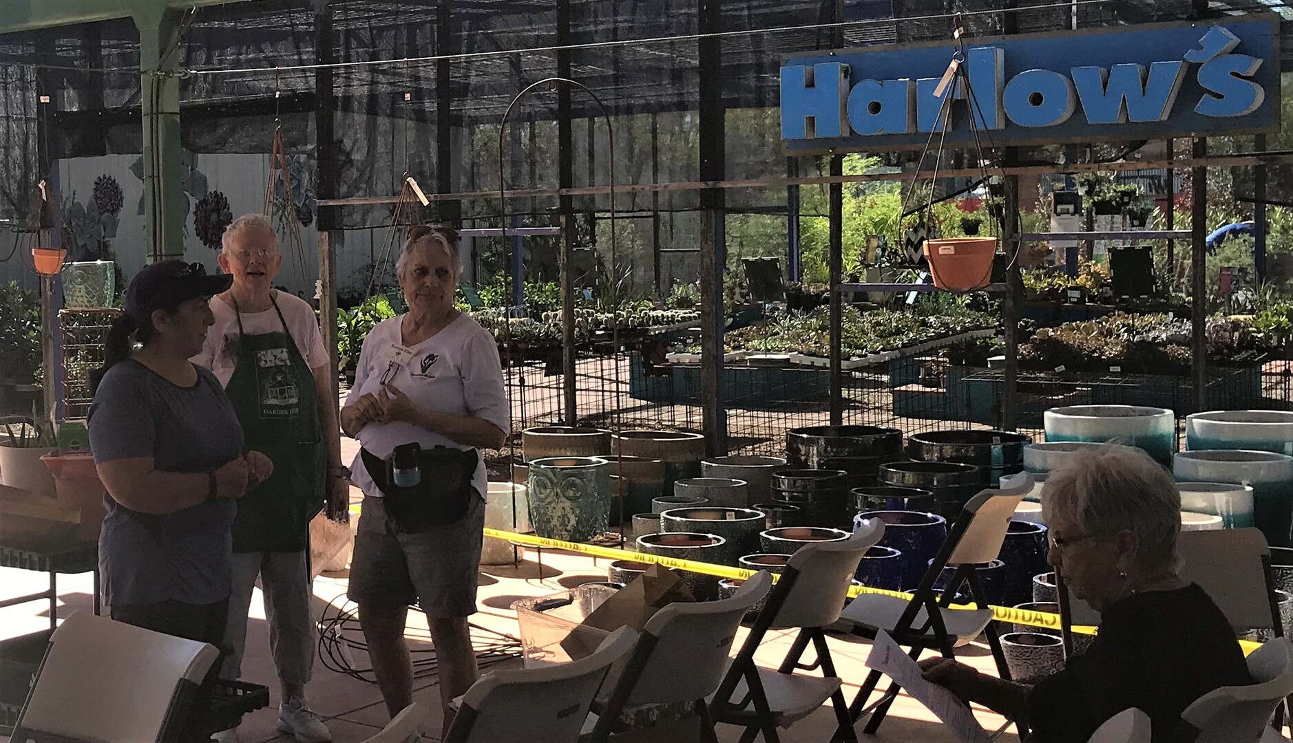 Photo Gallery - TAIS 2022 Annual Iris Rhizome Sale